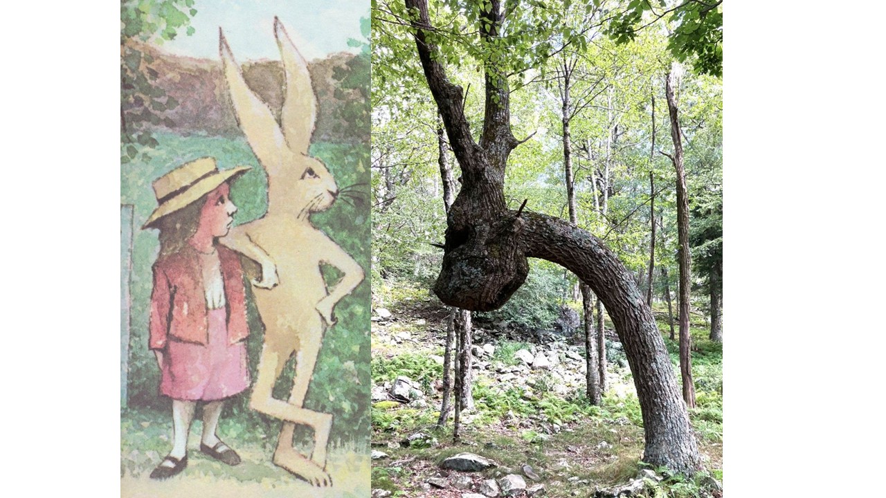 Mr. Rabbit and the Lovely Present | 100 Words